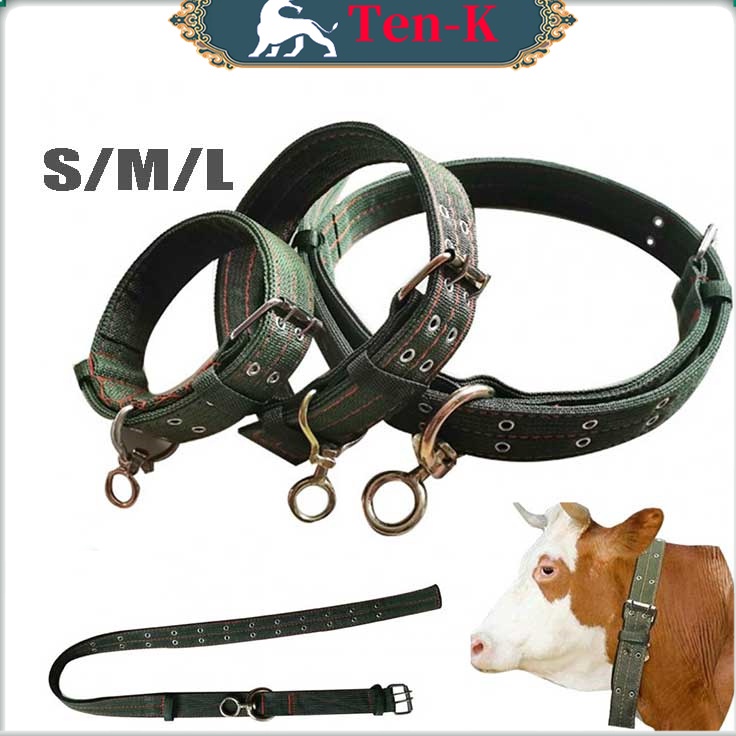 Jual Tali Tuntun Sabuk Nilon Kerah Untuk Sapi Kuda Kambing Domba ...