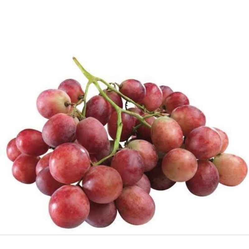 Jual anggur red globe Australia berat 1 kg | Shopee Indonesia
