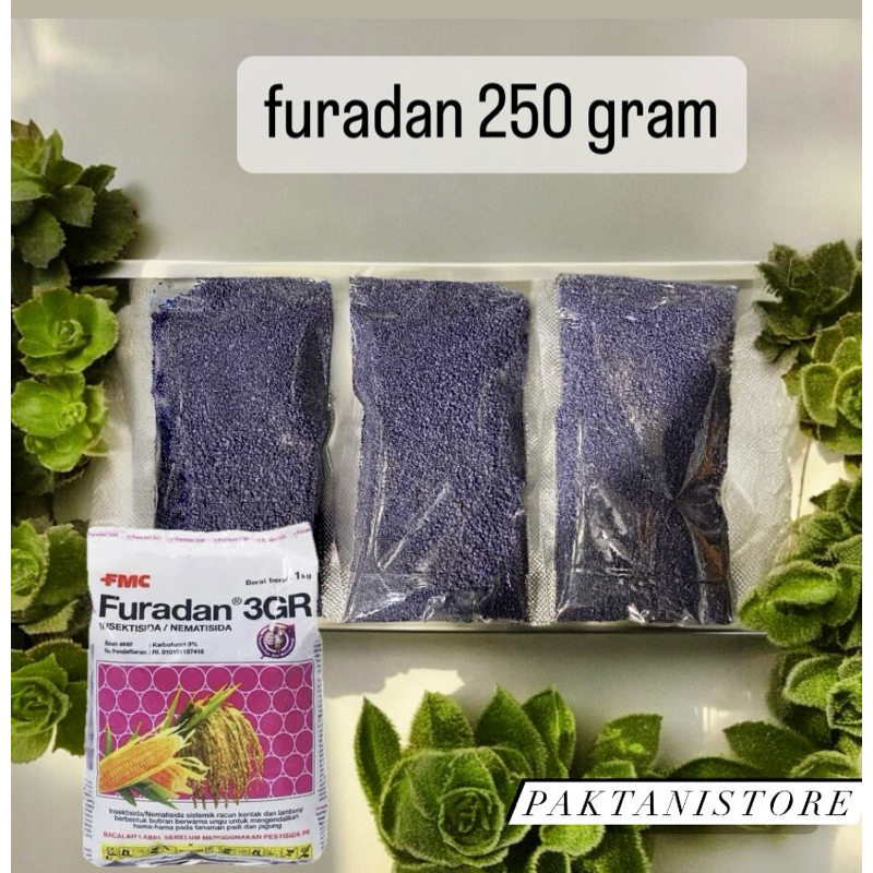 Jual FURADAN 3GR KEMASAN REPACK 250 GRAM PEMBASMI RAYAP DAN HAMA ...