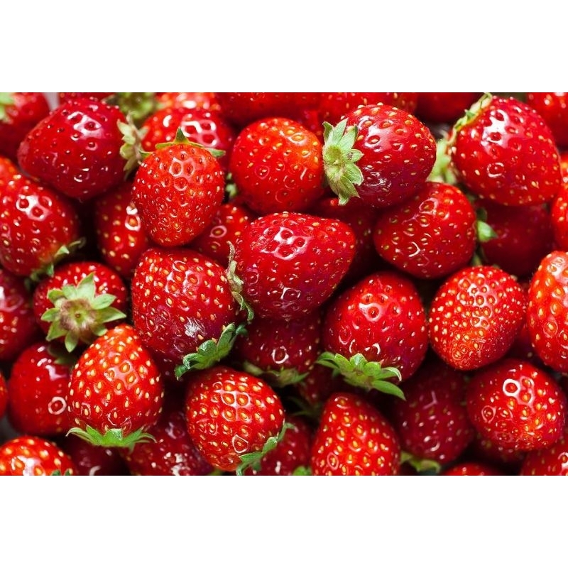 Jual Strawbery 1kg | Shopee Indonesia