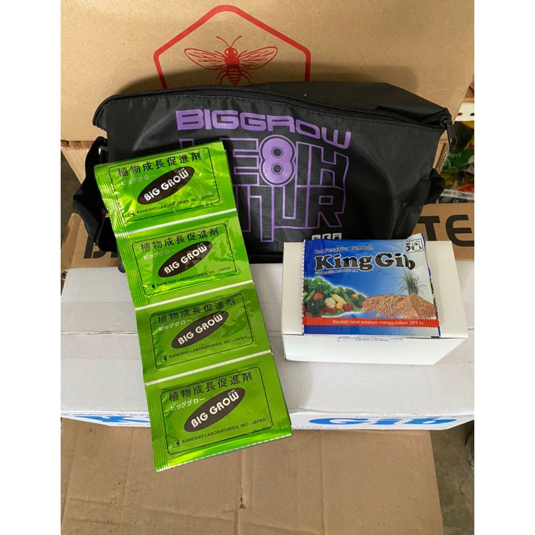 Jual Paket Big Grow 5gr dan King Gib 5gr untuk Buah Naga Durian Vitamin ...