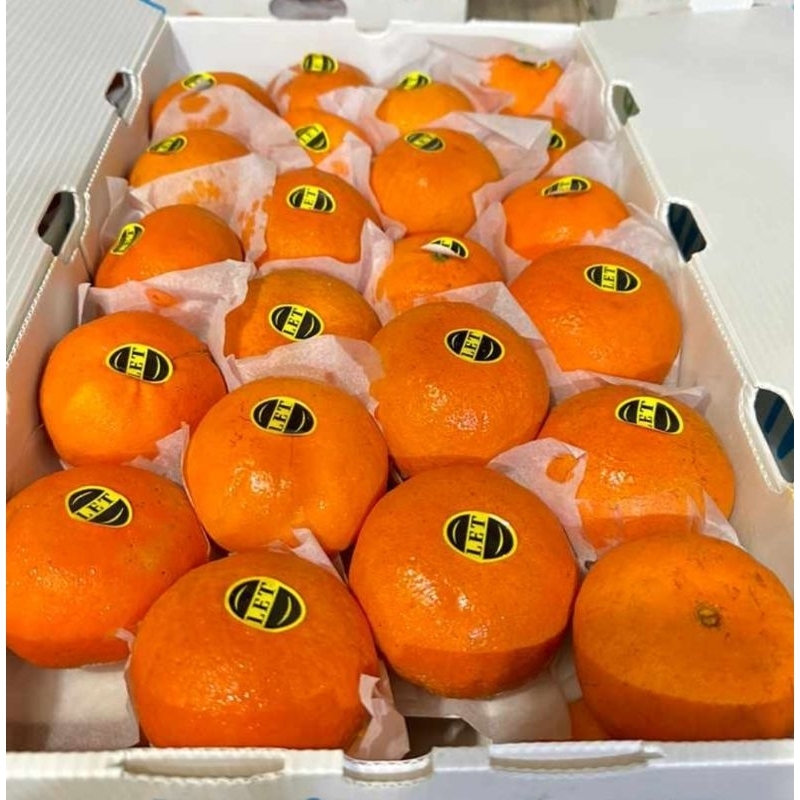 Jual Jeruk Wogan/Wokam/Mandarin | Shopee Indonesia