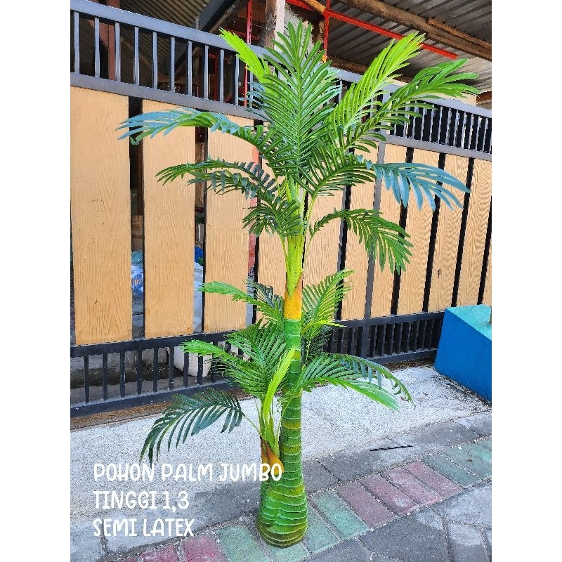 Jual Pohon Palm Tinggi 1,6 Meter | Shopee Indonesia