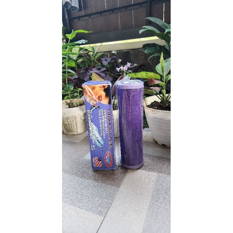 Jual Carbon Block / CTO ALKALINE ENHANCER WATER CURE ukuran 10 ...