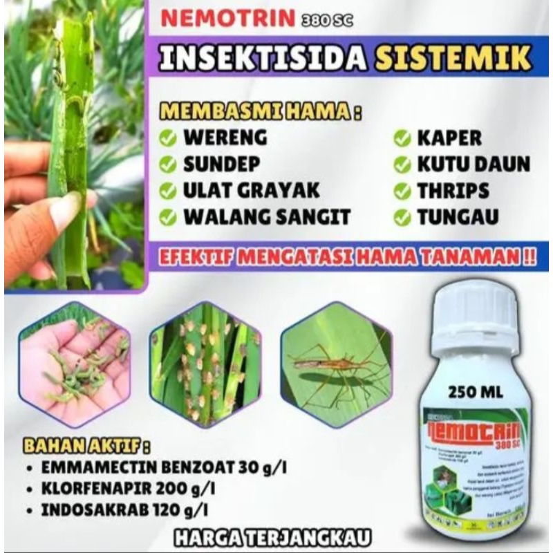 Jual INSEKTISIDA / INSEKTISIDA CAIR / INSEKTISIDA NEMOTRIN / NEMOTRIN ...