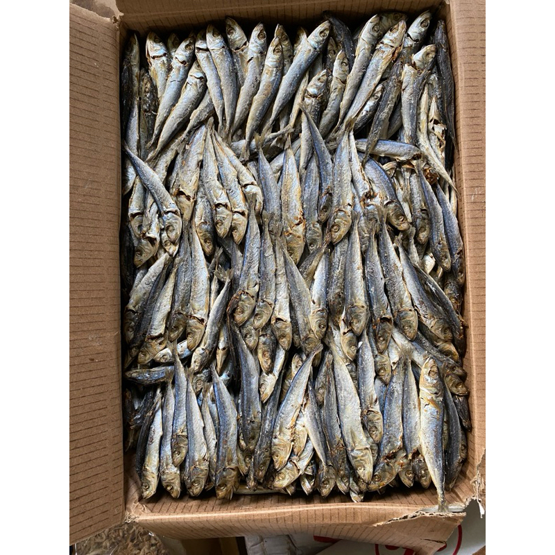 Jual ikan layang rebus = 1 kg best seller | Shopee Indonesia