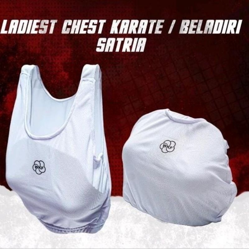 Jual LADIEST CHEST / CHESPRO / PELINDUNG DADA WANITA KARATE STANDAR ...
