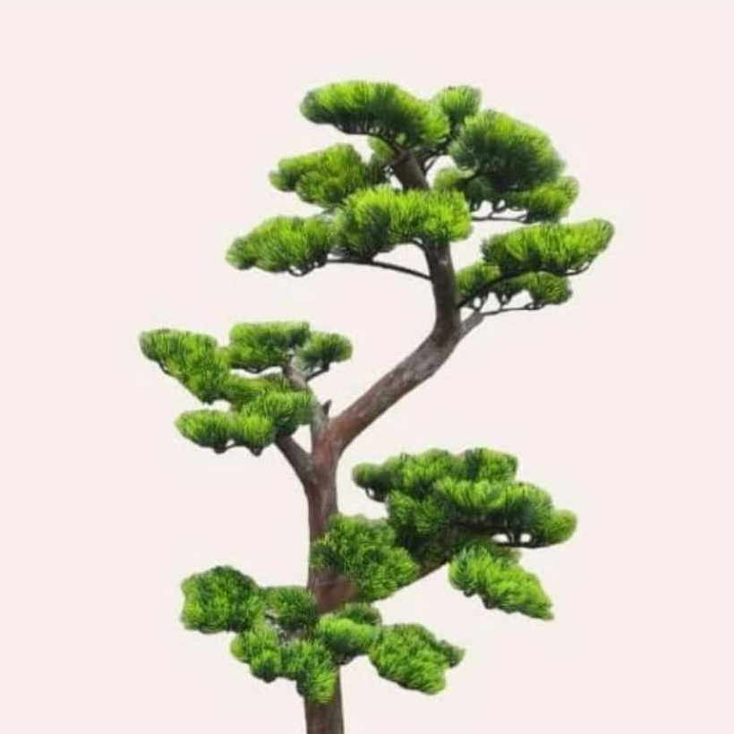 Jual Pohon Bonsai Cemara Udang/Pohonnya Saja/Pohon Hias Plastik/Pohon ...