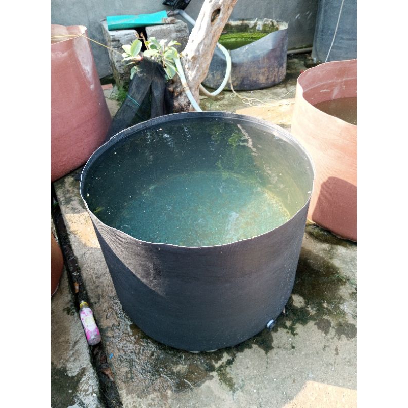 Jual KOLAM IKAN BULAT DIAMETER 80 CM TINGGI 40-100 CM | TANDON AIR ...