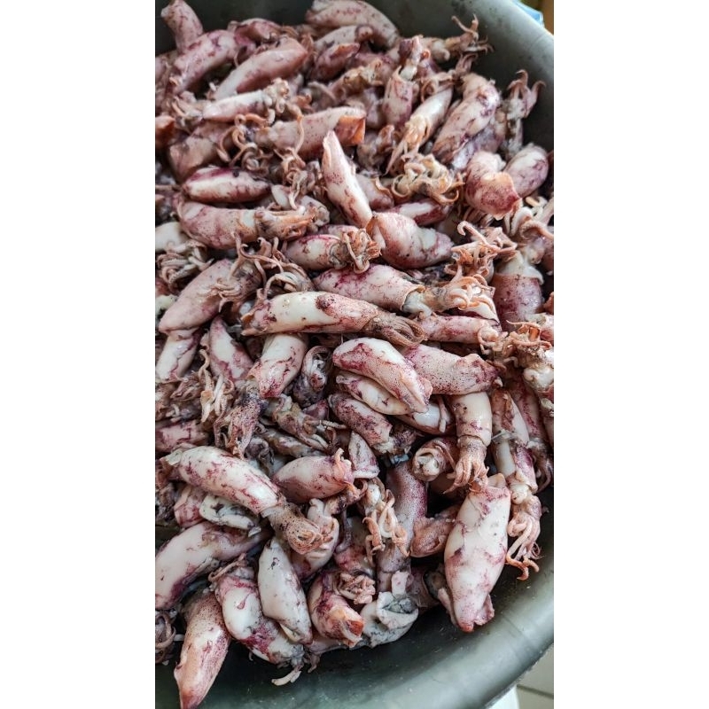 Jual CUMI BABY | 250 GR | 500 GR | 750 GR | 1000 GR | Shopee Indonesia