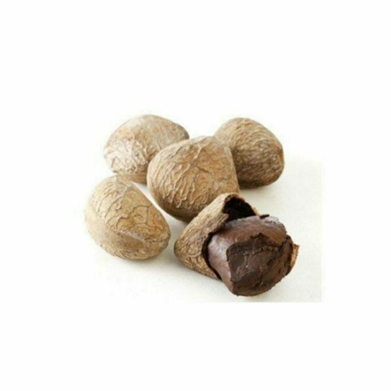 Jual Kluwek picung 1 pcs | Shopee Indonesia