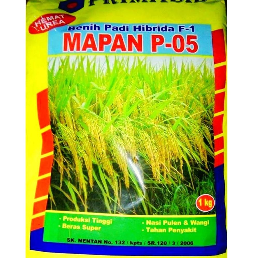 Jual Benih padi hibrida Mapan p- 05 F1 ORI | Shopee Indonesia