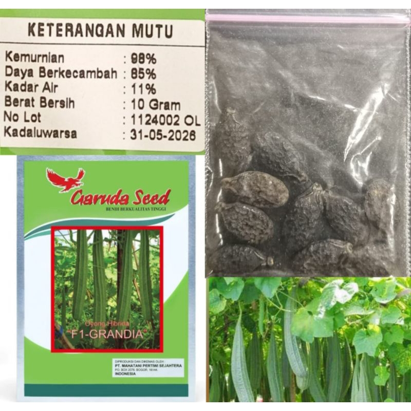 Jual 10 Biji Benih Biji Gambas/Oyong/Langker Hibrida F1 GRANDIA | Bibit ...