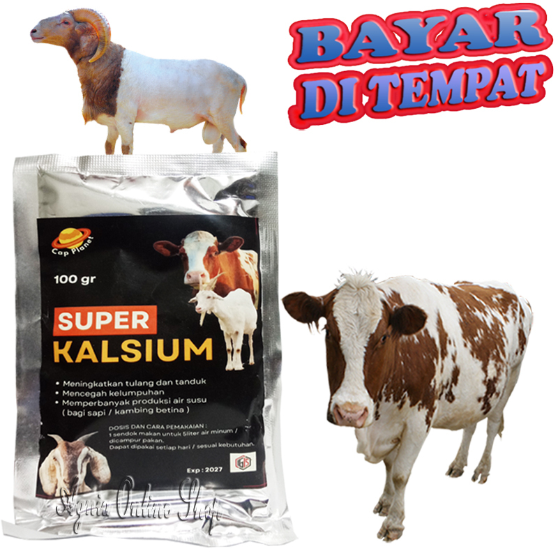 Jual Penguat Tulang Sapi Kambing SUPER KALSIUM Obat Lumpuh Cacat ...