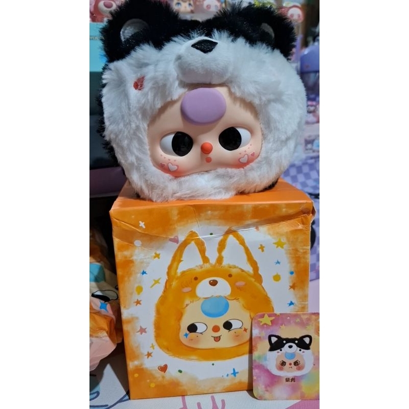 Jual baby three | Shopee Indonesia