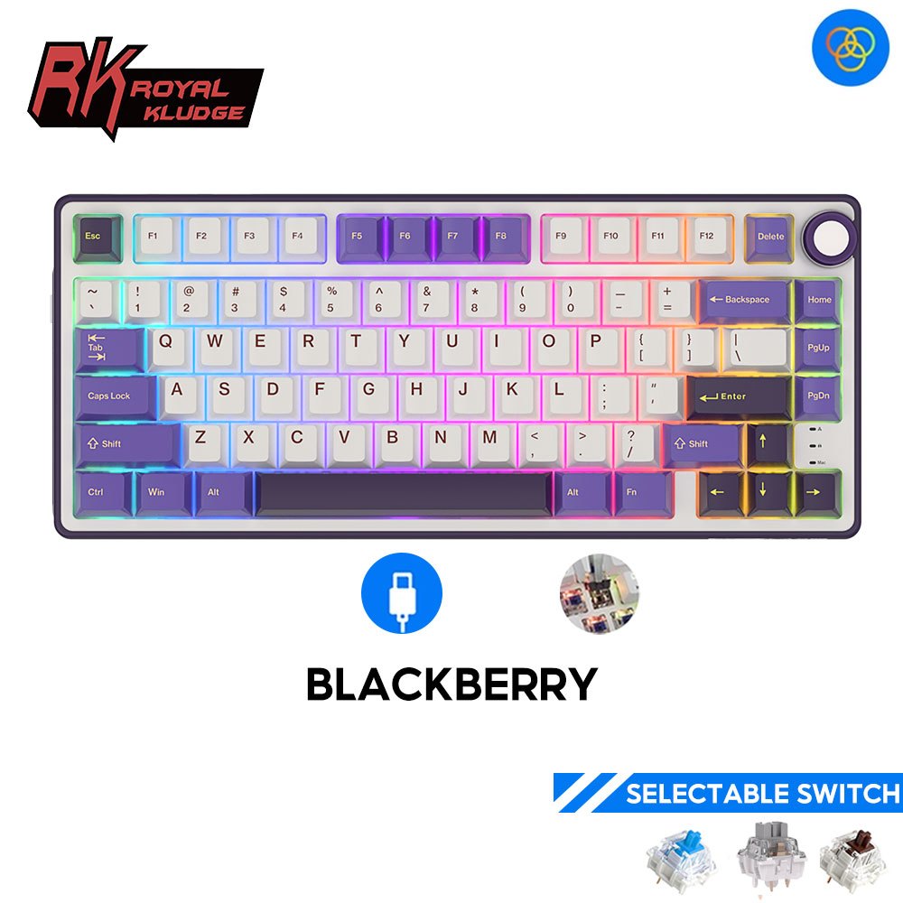 Jual Royal Kludge RK R75 Green 81 key Wired Gaming Keyboard | Shopee ...
