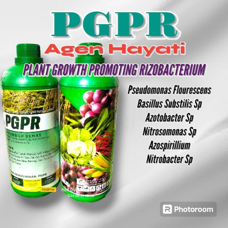 Jual PGPR Agen Hayati Alami 1 Liter Plant Growth Promoting ...