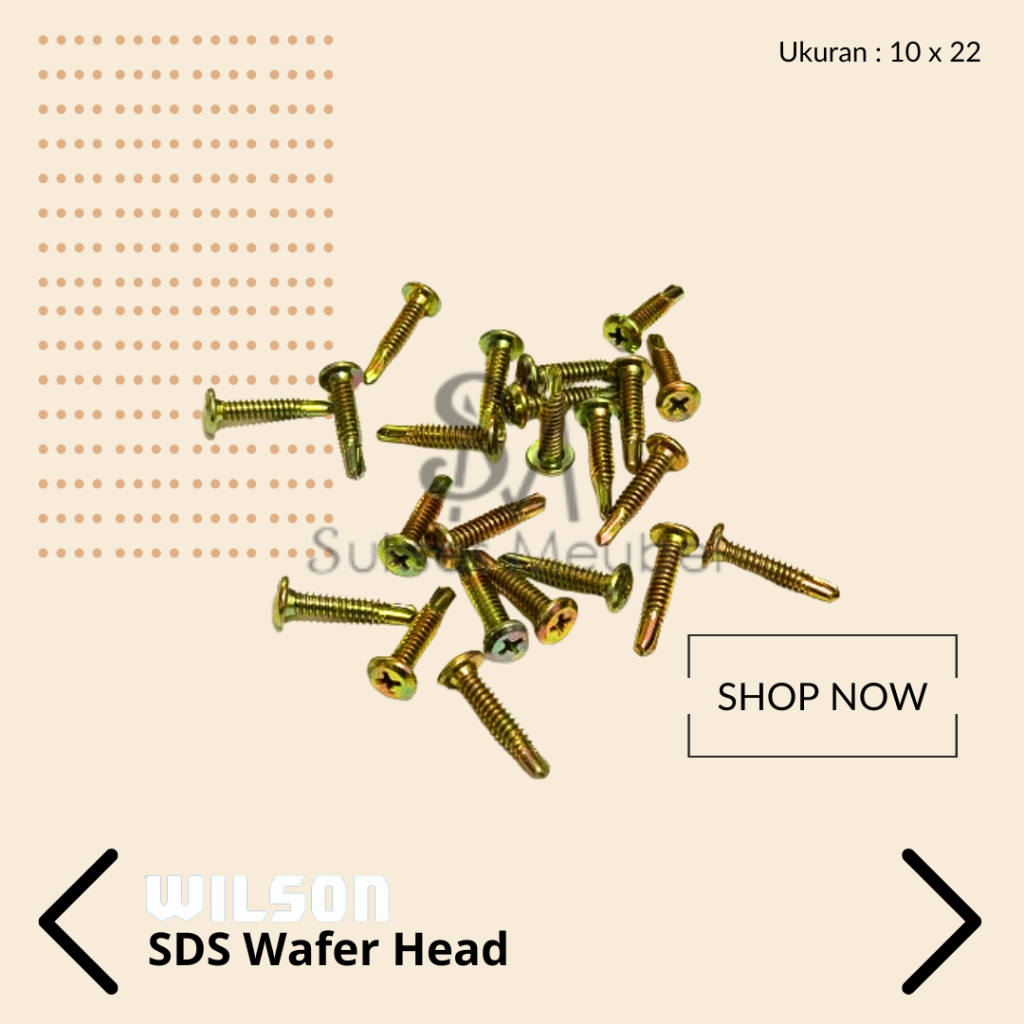 Jual SDS WAFER HEAD 10X22 - WILSON (100 PCS) / SEKRUP WAFER HEAD WILSON ...