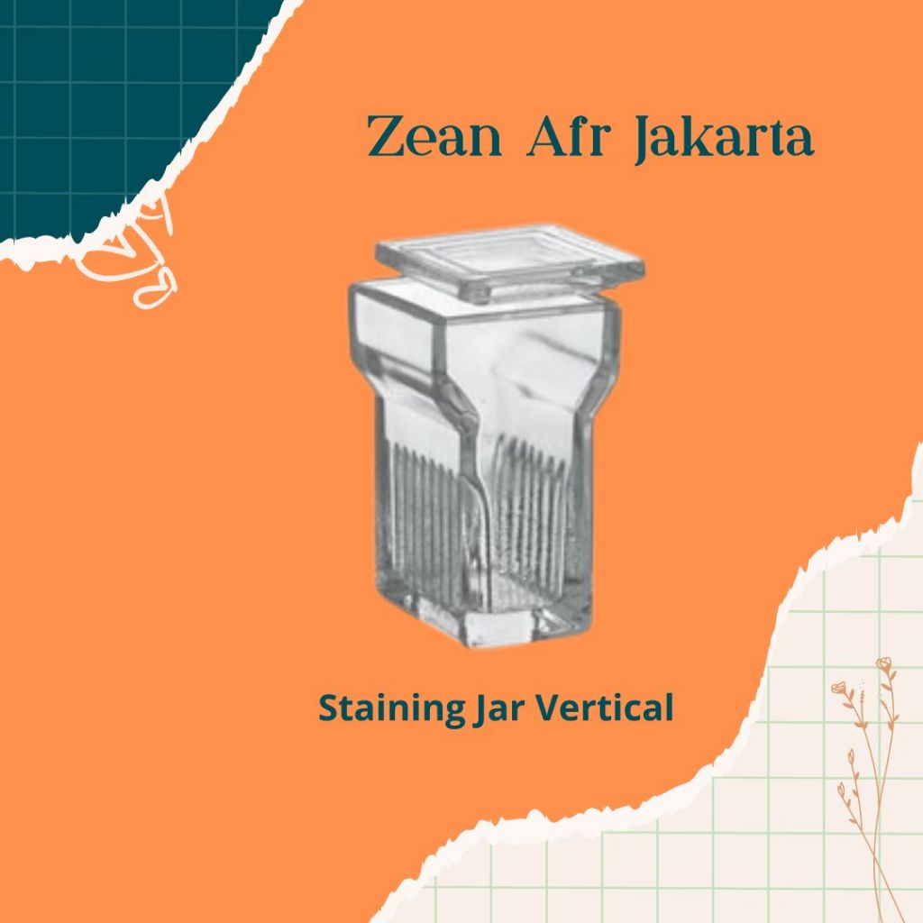 Jual Staining Jar Vertical Berdiri Hellendahl Duran Germany | Shopee ...