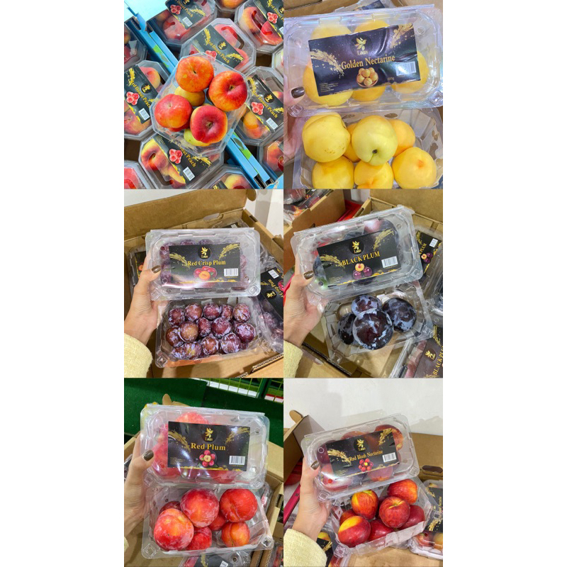 Jual buah plum red plum black nectarine peach donat plum prune buah ...