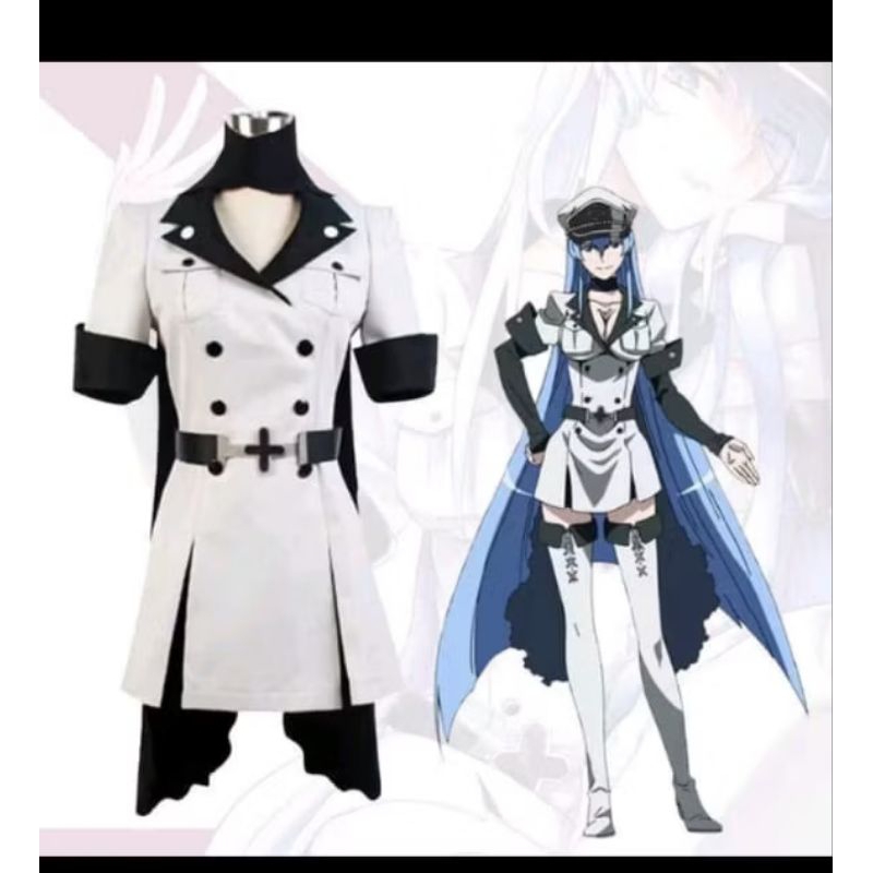 Jual ESDEATH COSTUME//ANIME GA KILL ESDEATH COSPLAY | Shopee Indonesia