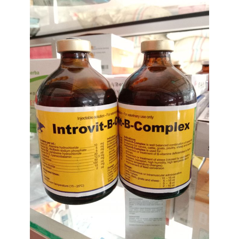 Jual Introvit-B-Complex 100 ml - injeksi vitamin b-kompleks | Shopee ...