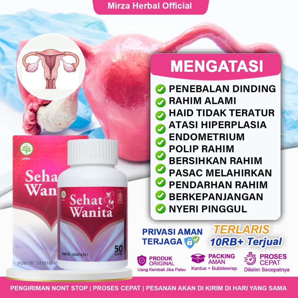 Jual Obat Penebalan Dinding Rahim Hiperplasia Endometrium Menstruasi ...