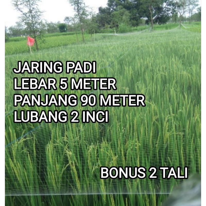 Jual Bonus 2 tali Jaring padi , jaring sawah ,jaring burung jaring ...