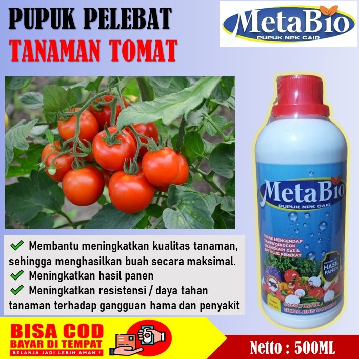 Jual pupuk organik pelebat tomat - obat semprot pelebat tomat - Pupuk NPK Cair METABIO pupuk ...