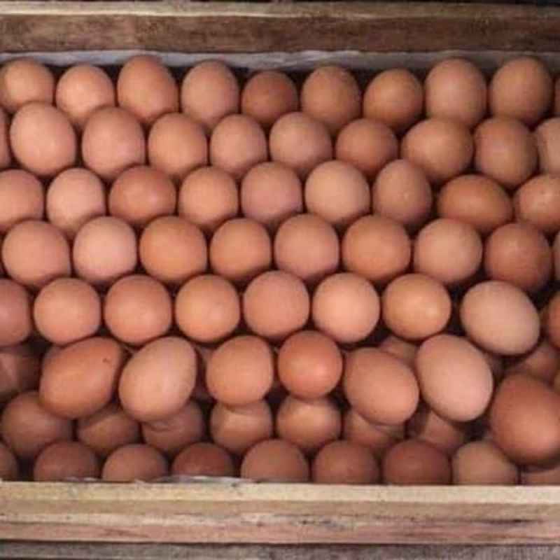 Jual Telur Ayam Negeri Curah Per Peti/Per Ikat @ 15 kg | Shopee Indonesia