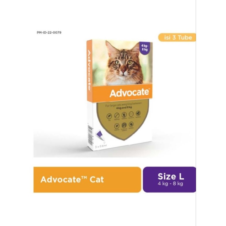 Jual advocate large cat bb 4 8 kg ferret obat kutu kucing musang ...