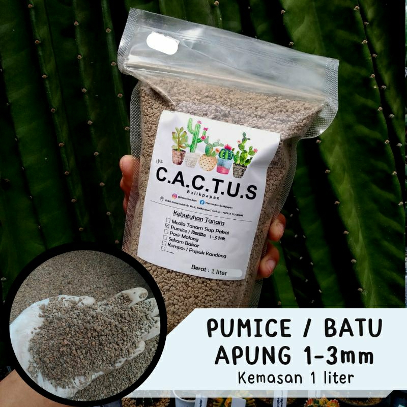 Jual Pumice / Batu Apung Ukuran 1-3mm Media Tanam Kaktus Sukulen ...
