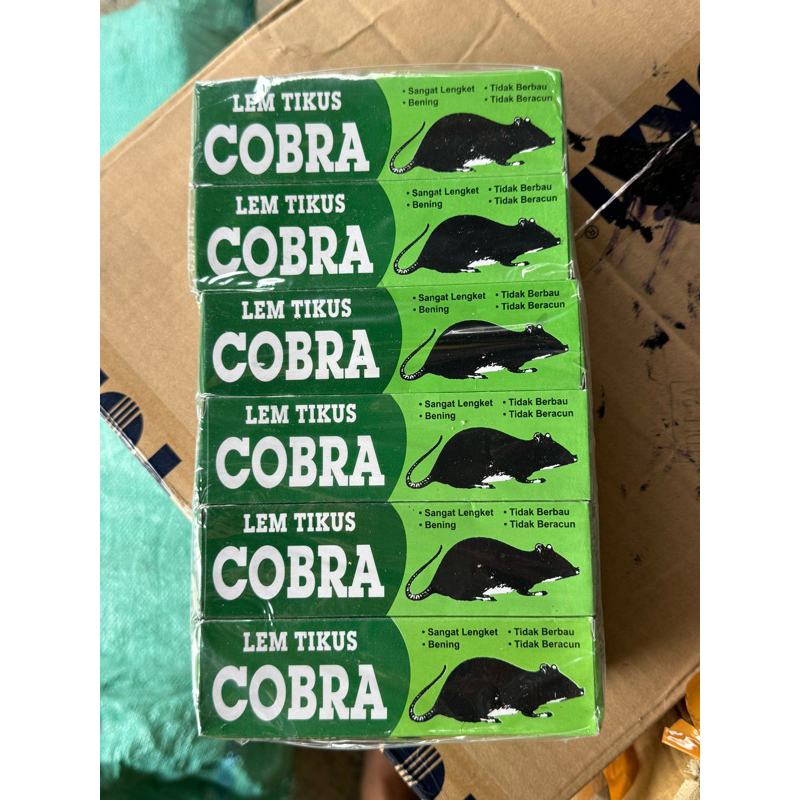 Jual Lem tikus cobra isi 12 pcs original dan lem lalat pagoda (1 box ...