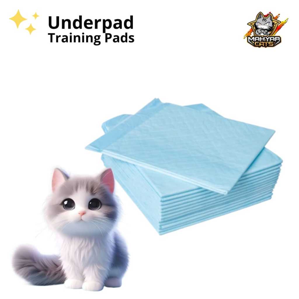 Jual Pad Pipis Kucing 10pcs/Paket Alas Pipis Kucing Anjing Underpad ...