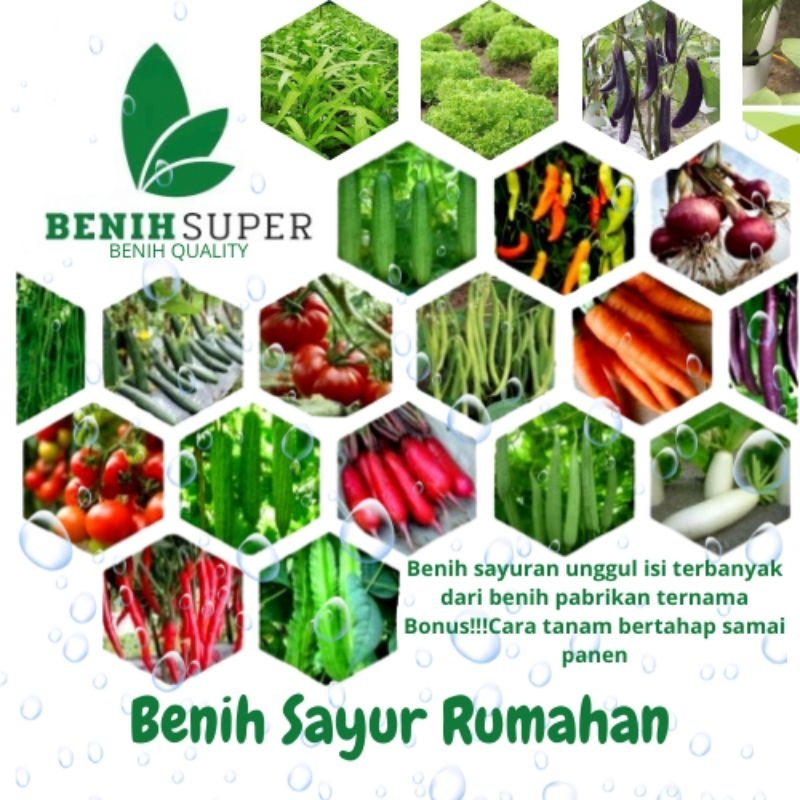 Jual Benih Terlengkap & Harga Terbaru Mei 2026 | Shopee Indonesia
