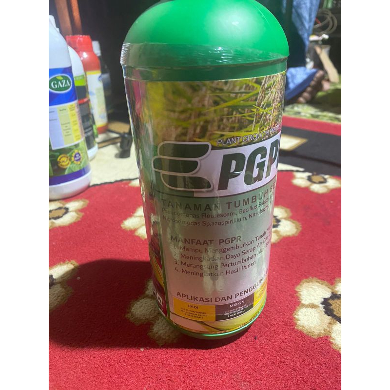 Jual PGPR Agen Hayati Alami 1 Liter Plant Growth Promoting ...