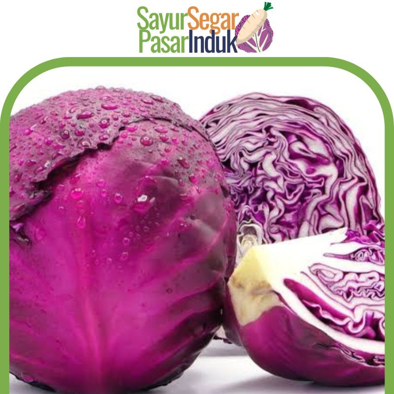 Jual Kol Ungu 500g Sayur Bandungan kubis merah gobes ungu ...