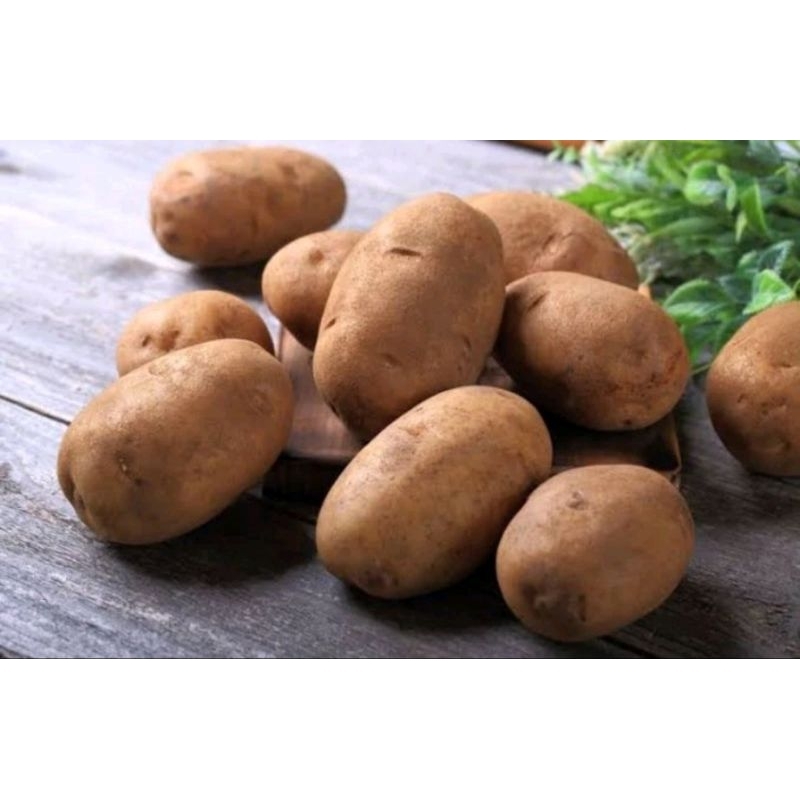 Jual kentang fresh 1kg | Shopee Indonesia
