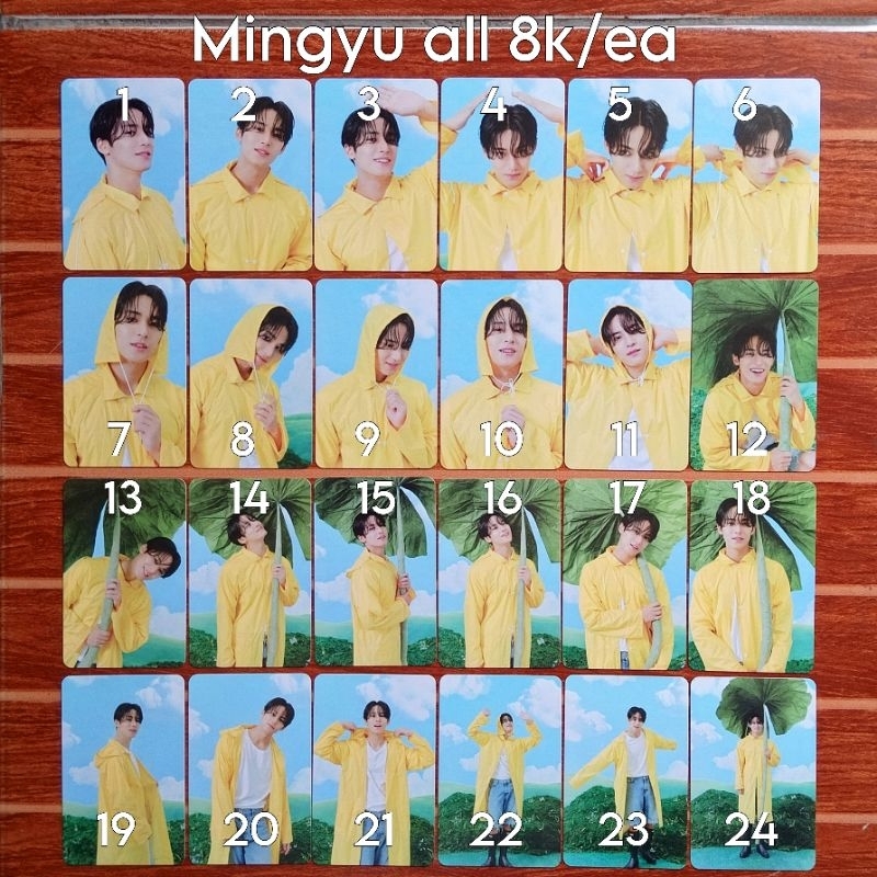 Jual SEVENTEEN PHOTOCARD HEAVEN CARVER BOOKLET MINGYU WONWOO SCOUPS DOKYEOM VERNON [ SVT PC ...