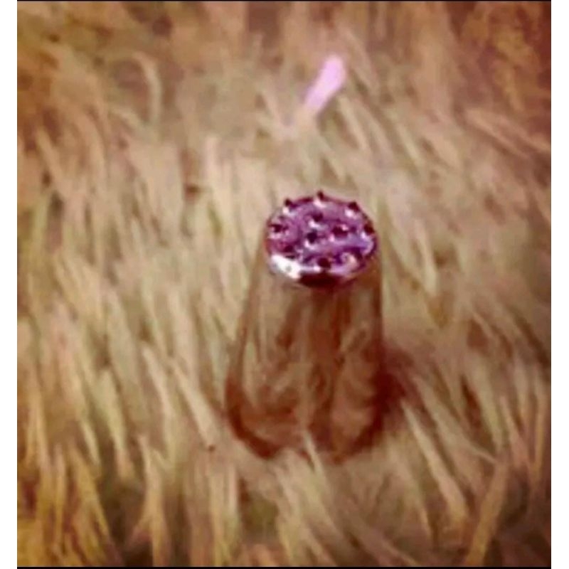 Jual Spuit Rumput Lokal Sedang/ ukuran rumput sedang | Shopee Indonesia