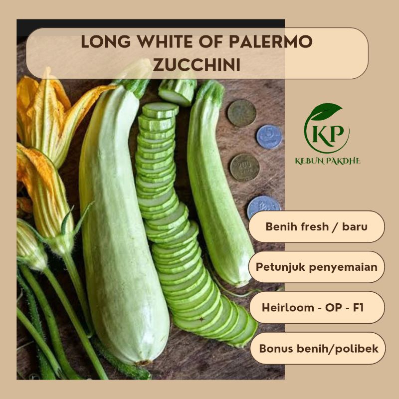 Jual 3 BIJI - BENIH LONG WHITE OF PALERMO ZUCCHINI / SQUASH. ZUCCHINI ...