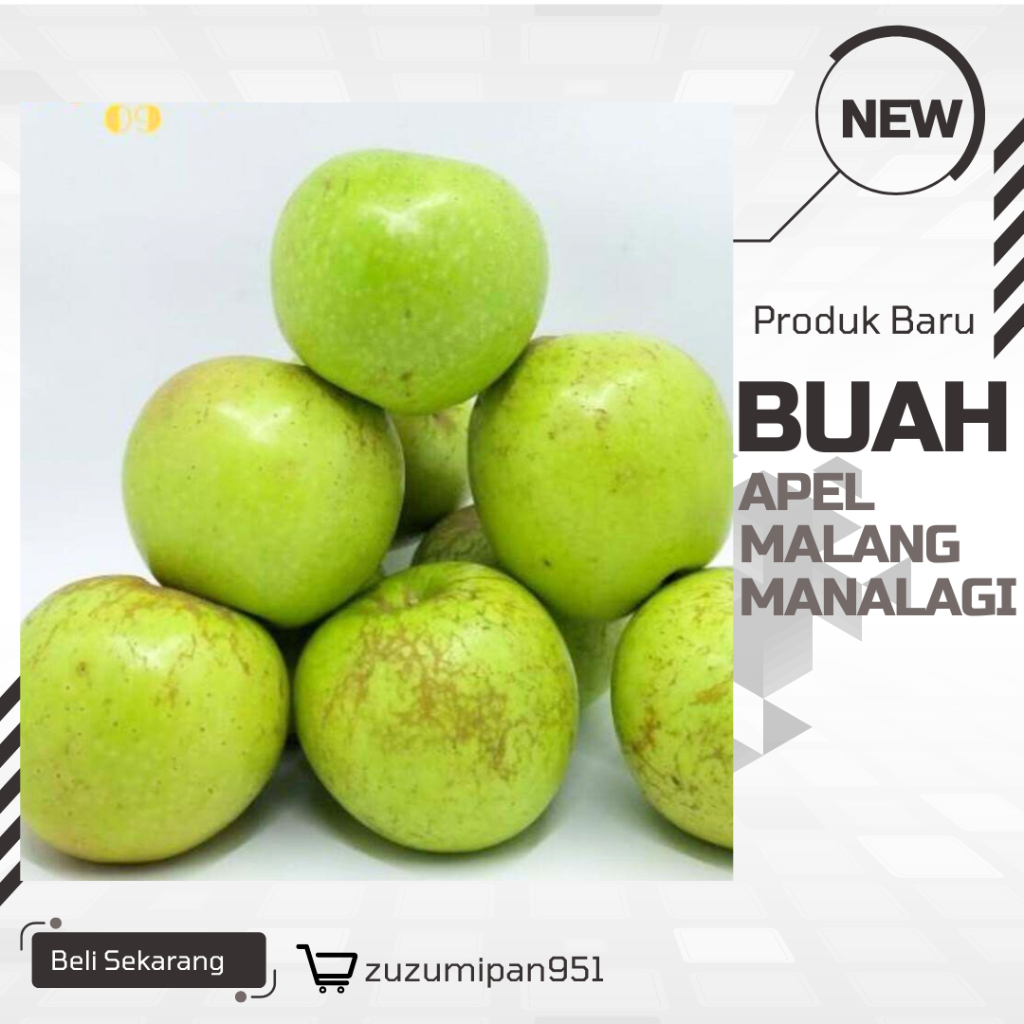 Jual Apel Malang Mini Manalagi - Segar dan Nikmat||1 kg isi 18-20 biji ...