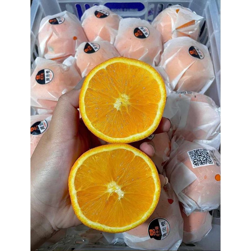 Jual Jeruk Sunkist navel 1kg manis segar | Shopee Indonesia