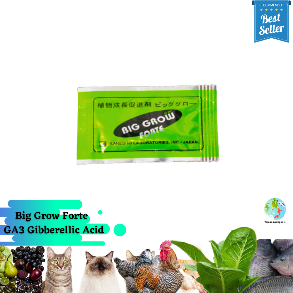 Jual GA3 Giberelin Big Grow Forte Memperbesar Buah | Shopee Indonesia