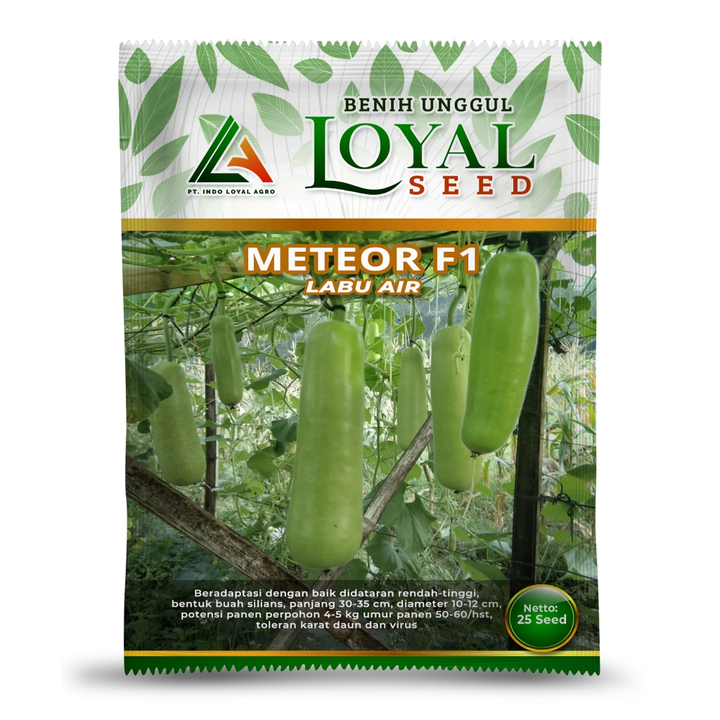 Jual BENIH LABU AIR METEOR F1 CAP LOYAL SEED KEMASAN 10 GR | Shopee ...