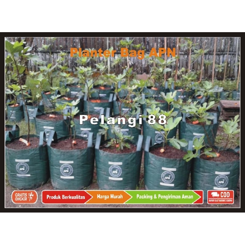 Jual Planterbag APN , Planter Bag Hijau , Pot Tanaman , Planterbag ...