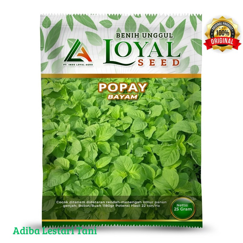 Jual Benih Bayam Hijau POPAY 25 Gram - Bibit Unggul Bayam Popay Cap ...