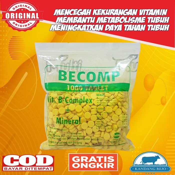 Jual Bcomplex Bkomplek 1000 Tablet BECOMP Raid All Vitamin B Complex B ...
