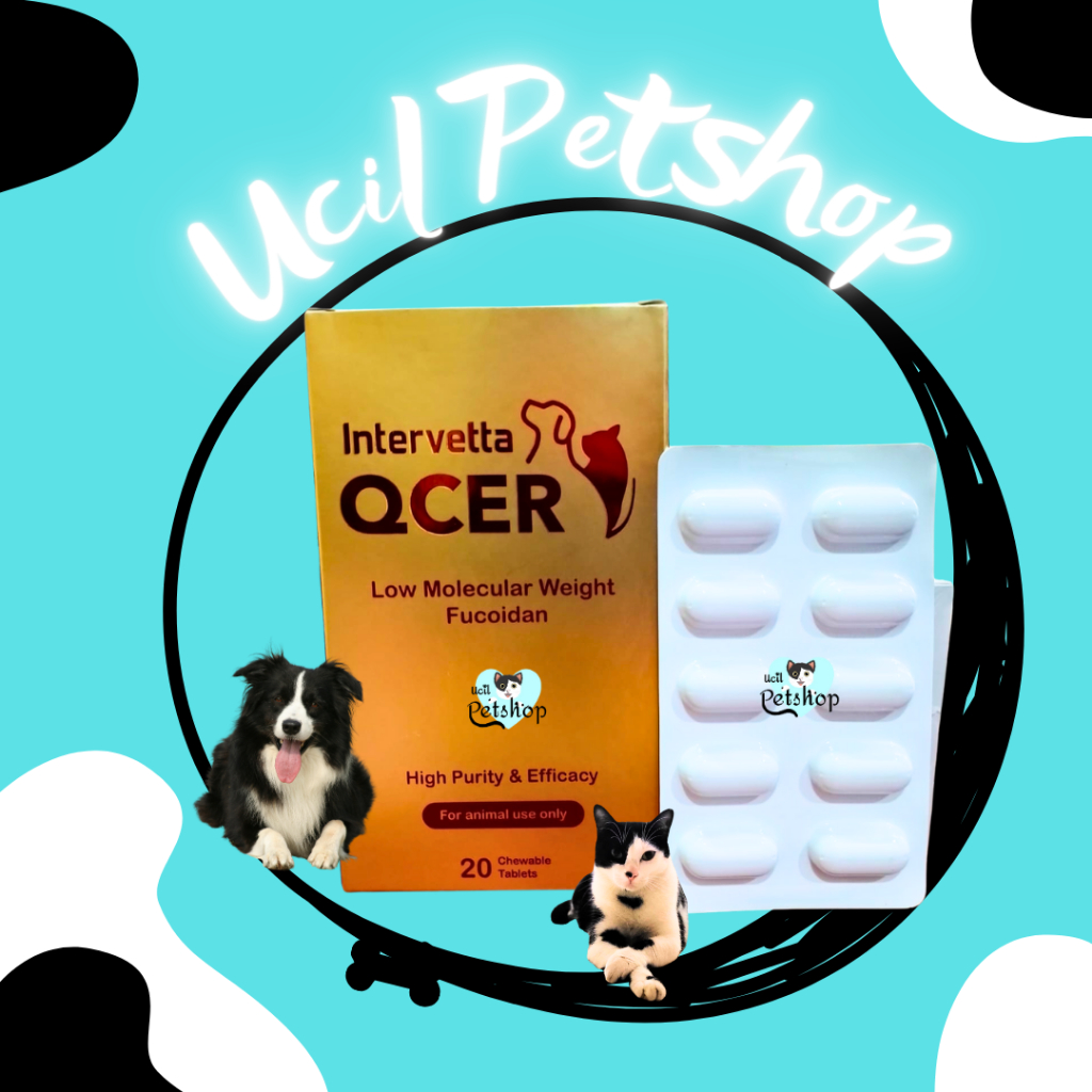 Jual QCER Intervetta Obat Kanker Tumor Cancer Cat Dog Kucing Anjing (1 Tablet) | Shopee Indonesia