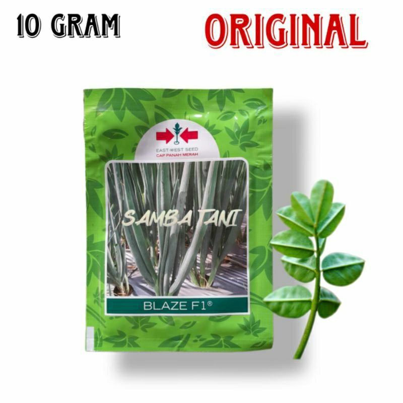 Jual Benih daun bawang blaze F1 isi 10 gram | Shopee Indonesia